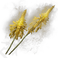 Cheap Elden Ring Items PC Altus Bloom *999, Buy Elden Ring Items PC ...